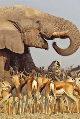 África (Series): El Cabo S01 E04 | Programación de TV en Argentina | mi.tv