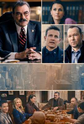 Blue Bloods (Séries): À Primeira Vista S13 E02 | Programação de TV | mi.tv