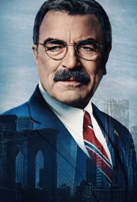 Blue Bloods (Séries): Perdidos S13 E11 | Programação de TV | mi.tv