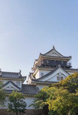 Castles Trip: The Castle Town that Gave Birth to Ieyasu | Programação ...