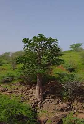 Cris pelo Mundo - Cabo Verde (Séries) S07 E02 | Programação de TV | mi.tv