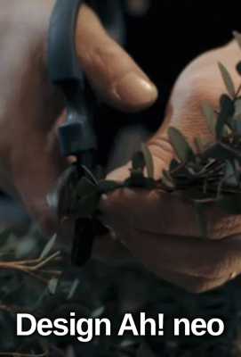 Design Ah! neo | Programação de TV | mi.tv