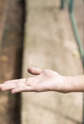 Mika, Resgatista de Animais (Séries): Casa do Terror S01 E03 ...