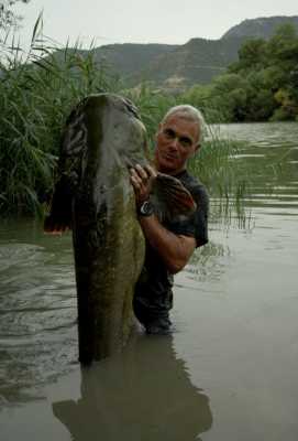 Monstros do Rio (Séries): Torpedo Assassino S05 E03 | Programação de TV ...