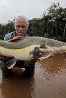 Monstros do Rio (Séries): Raptor de Corpos S06 E06 | Programação de TV ...