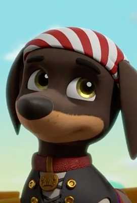 Patrulha Canina (Séries): Os Filhotes da Selva Salvam os Suricatos ...