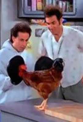 Seinfeld (Séries): The Little Jerry S08 E11 | Programação de TV | mi.tv