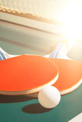 Mundial de Tênis de Mesa Doha 2025: Sally Moyland (EUA) x Bruna ...