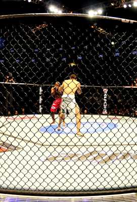 UFC 140: Jones x Machida | Programação de TV | mi.tv