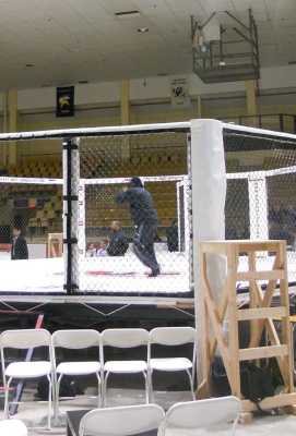 UFC Unleashed (Séries): Featherweight Brawls S14 E09 | Programação de ...