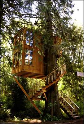 Mansiones en los árboles (Series): Una casa del árbol de súper espías ...