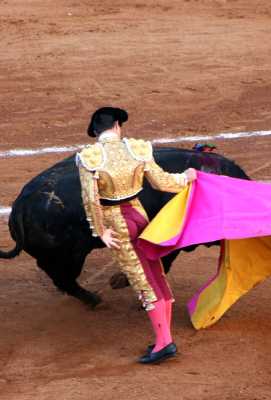 12: Sebastian Castela, el Queretano Octavio Garcia el Payo y Juan Pablo ...