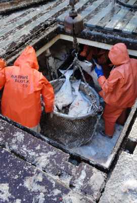 Línea de producción (Series): Forgemasters Steel S01 E03 | Programación ...