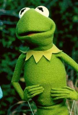 Los años pantanosos de la rana René (Película) | Programación de TV en ...