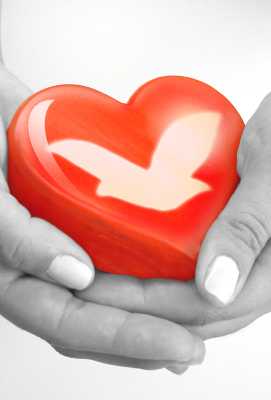 Pare de sufrir | Programación de TV en México | mi.tv