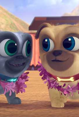 Puppy Dog Pals (Series): Cachorros en la naturaleza / Los cachorros del ...